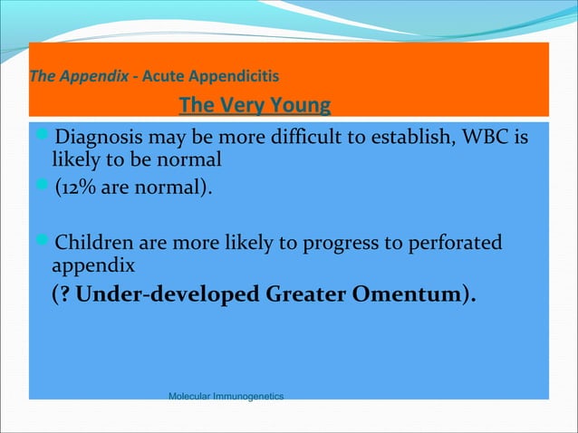 Appendix | PPT