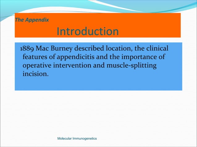 Appendix | PPT