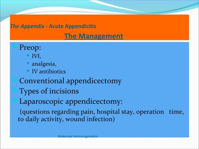 Appendix | PPT