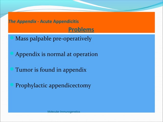 Appendix | PPT