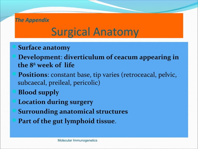 Appendix | PPT