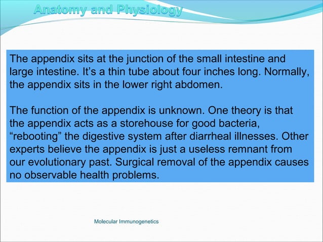 Appendix | PPT