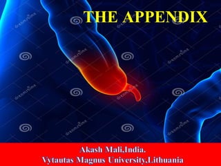 Appendix Slide