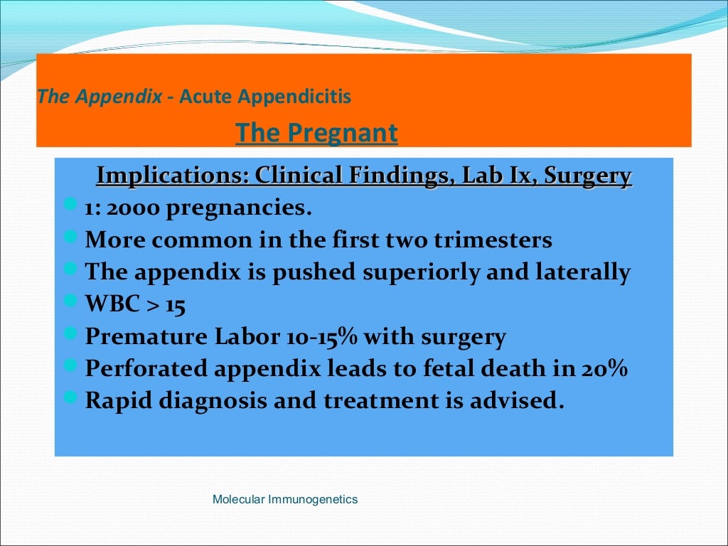 Appendix