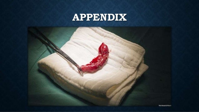 Appendix