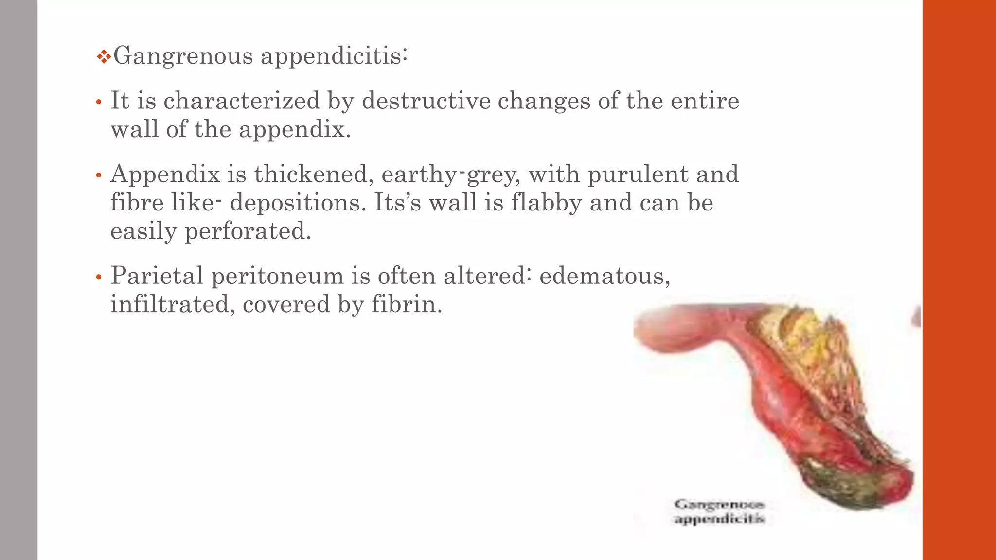 Appendix | PPTX