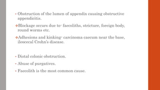 Appendix | PPTX