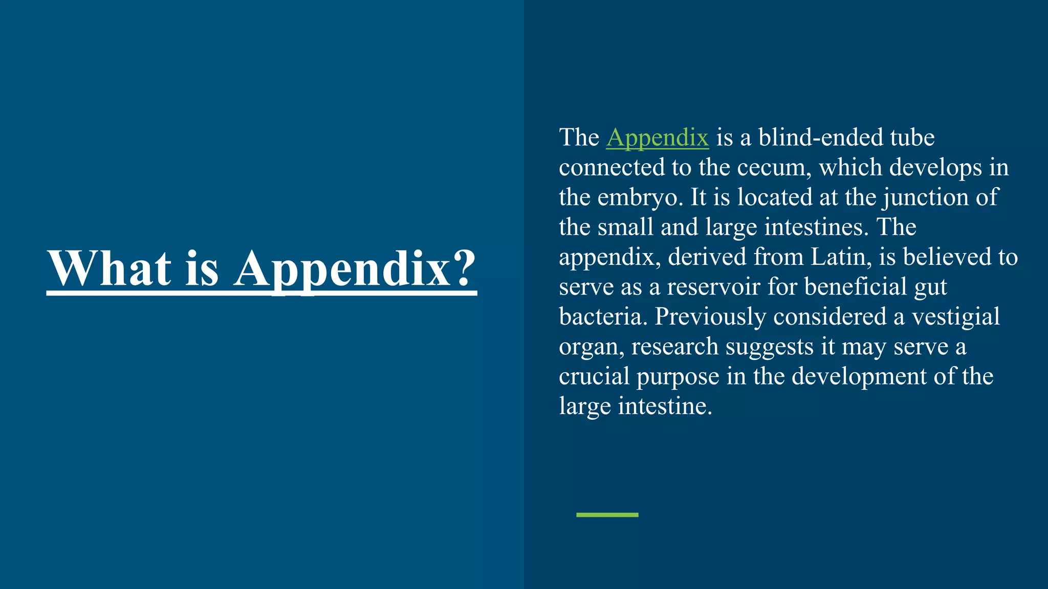 A Comprehensive Guide to Understanding the Appendix | PPT