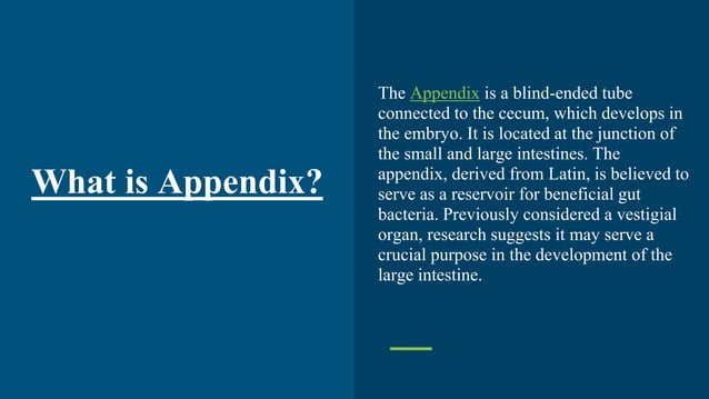 A Comprehensive Guide to Understanding the Appendix | PPT