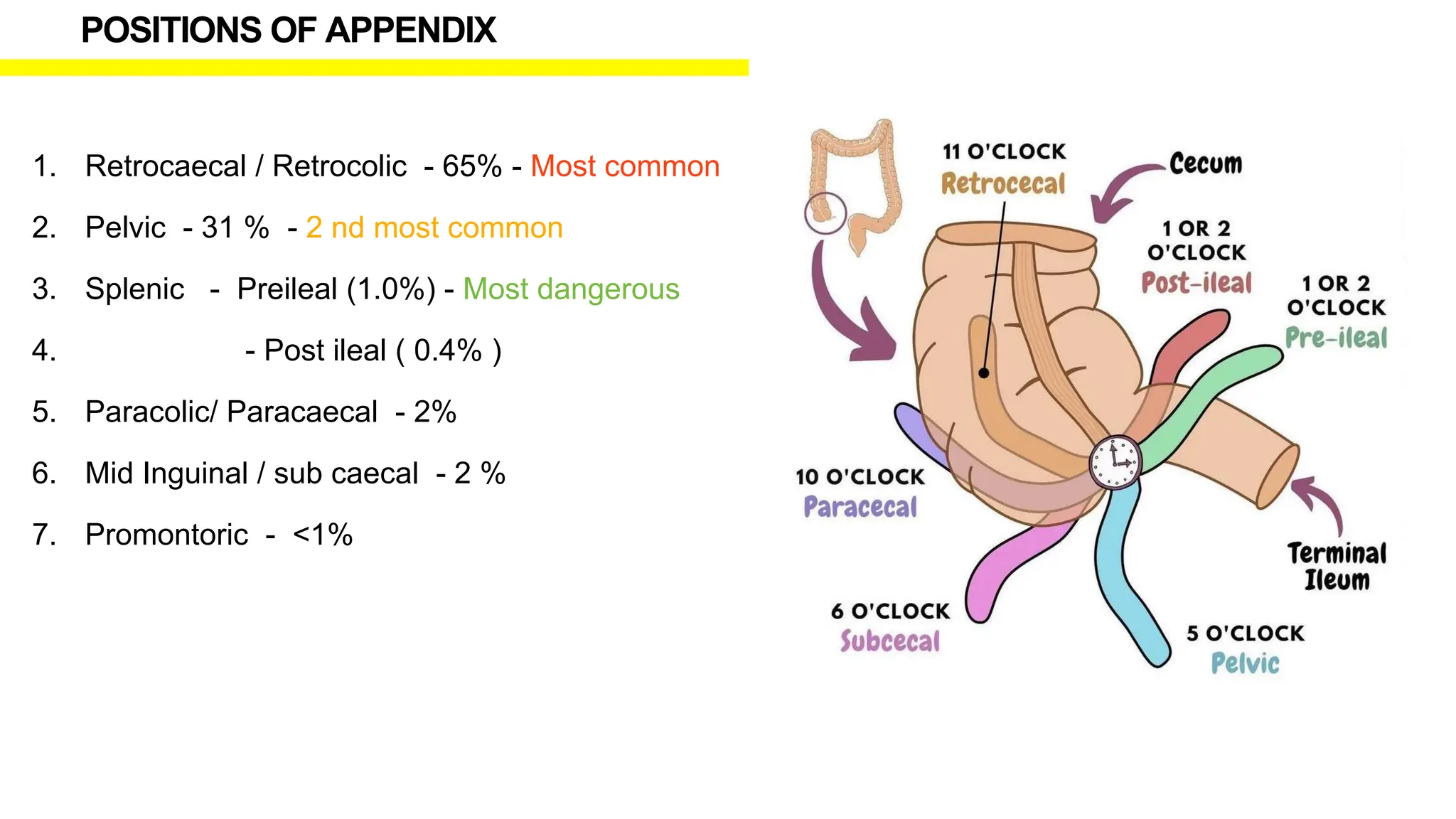 Acute Appendicitis | PPTX | Digestive Disorders | Diseases and Conditions