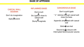 Acute Appendicitis | PPTX