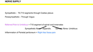 Acute Appendicitis | PPTX | Digestive Disorders | Diseases and Conditions