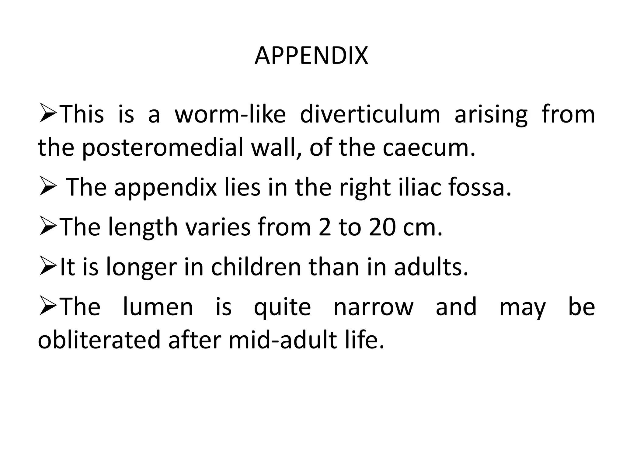 APPENDIX ( appendix anatomy first year ) | PPTX