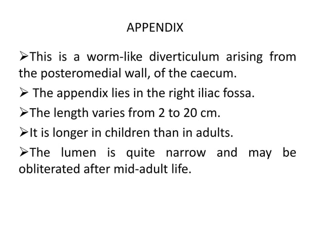 APPENDIX ( appendix anatomy first year ) | PPTX | Death, Injury, or ...