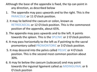 APPENDIX ( appendix anatomy first year ) | PPTX