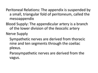 APPENDIX ( appendix anatomy first year ) | PPTX | Death, Injury, or ...