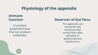 appendix and appendicitis overview presentation | PPTX