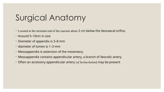 appendix and its diseases in detail for surgery | PPTX