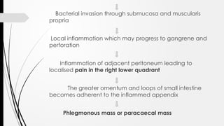 Appendix - Anatomy Physiology and Appendicitis | PPTX