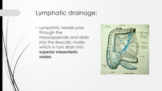 Appendix - Anatomy Physiology and Appendicitis | PPTX