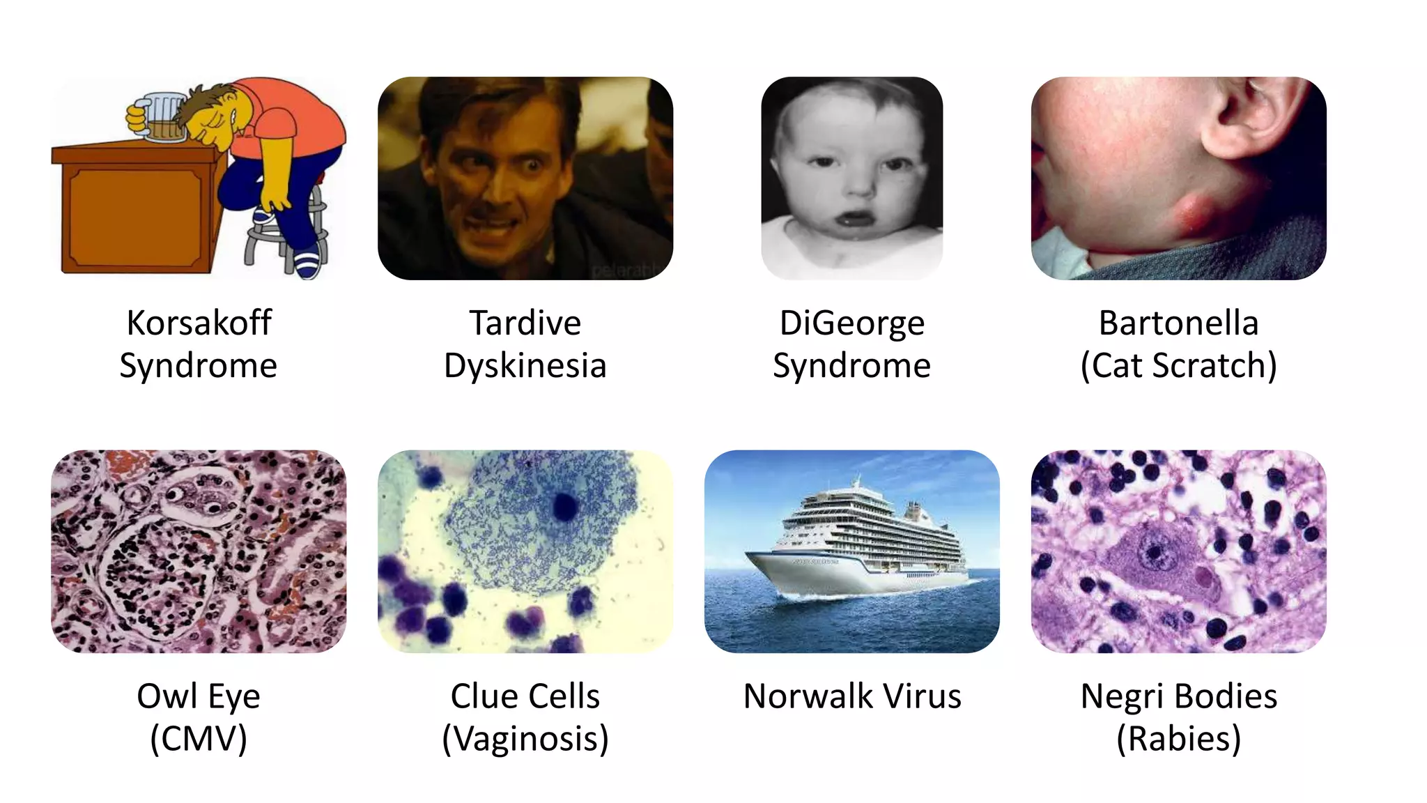 USMLE Step 1 General review - Appendix | PPTX