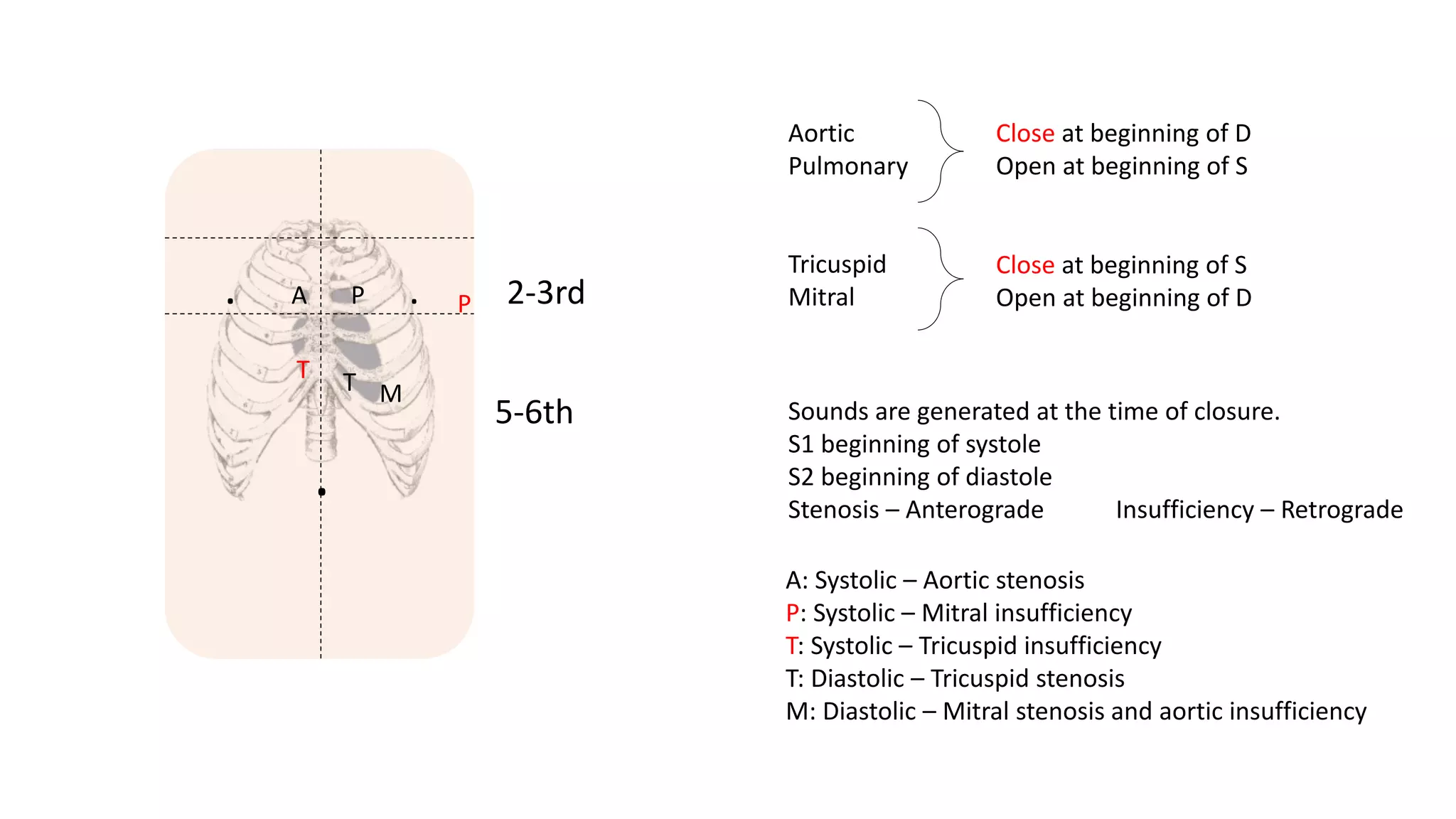 USMLE Step 1 General review - Appendix | PPTX