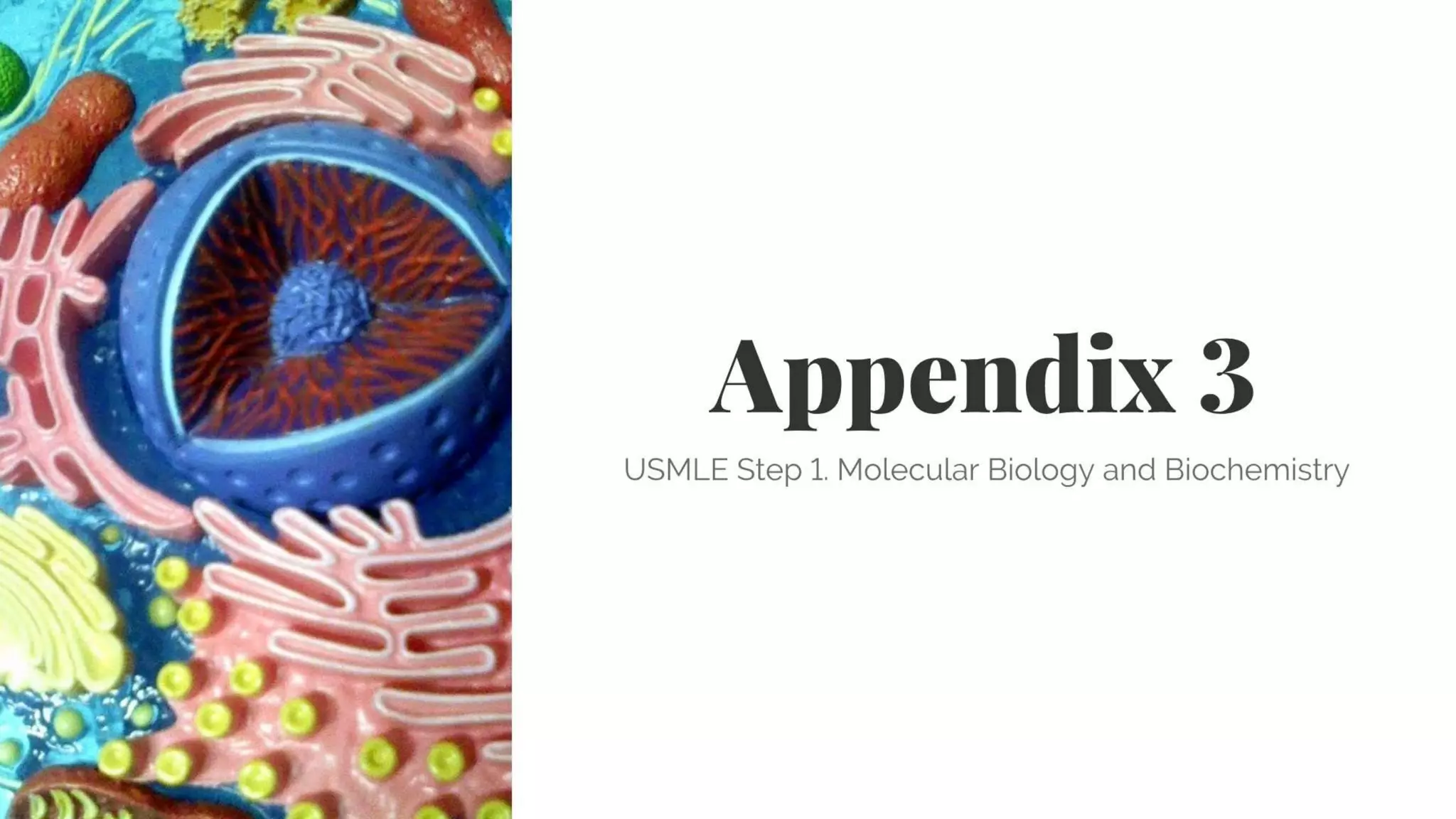 USMLE Step 1 Molecular Biology and Biochemistry review | PPTX