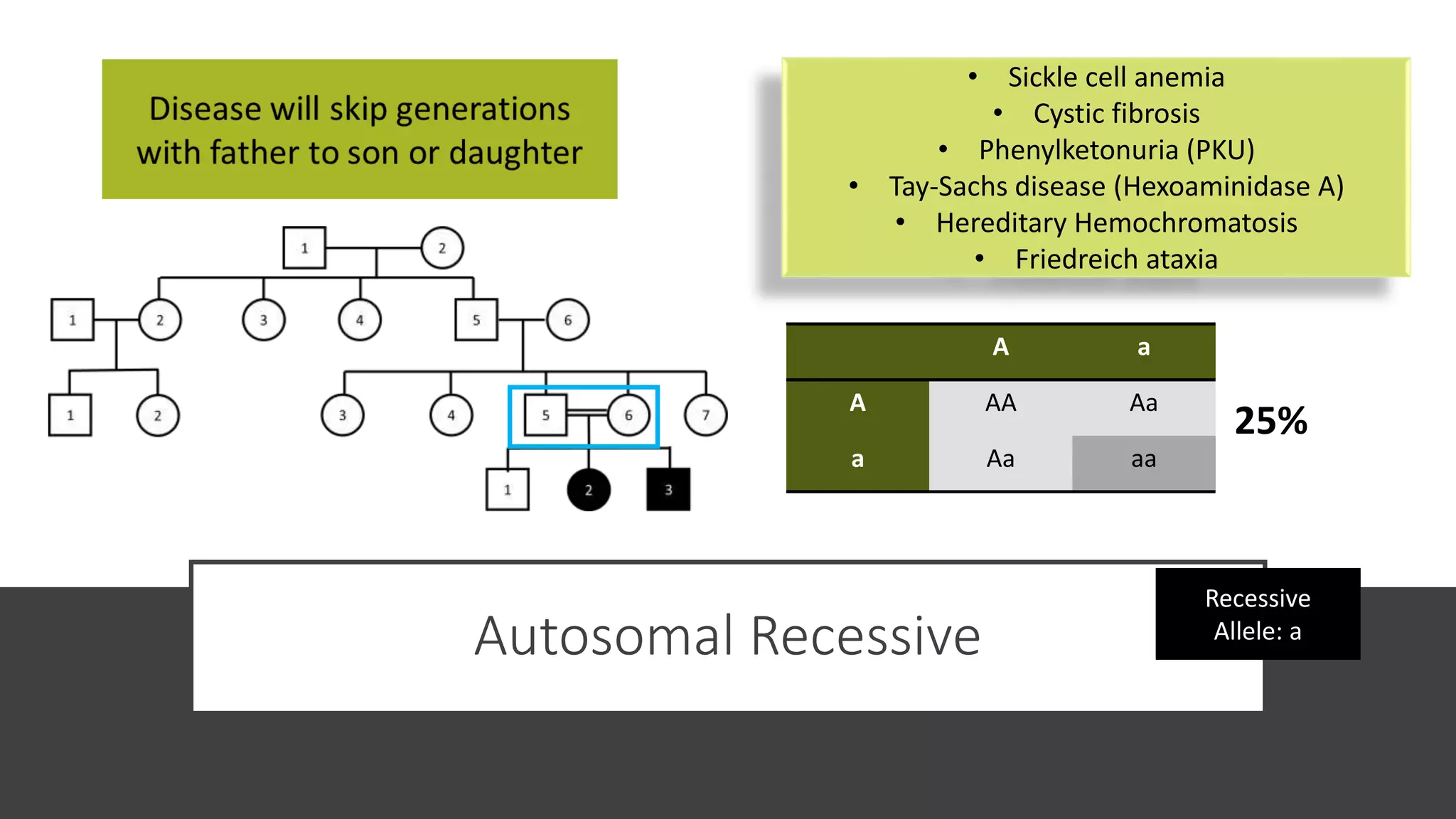 USMLE Step 1 Genetics review | PPTX