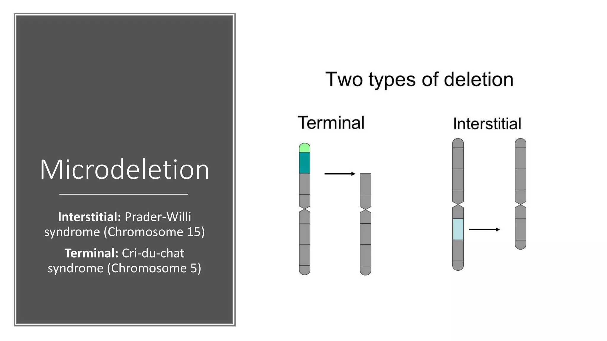 USMLE Step 1 Genetics review | PPTX