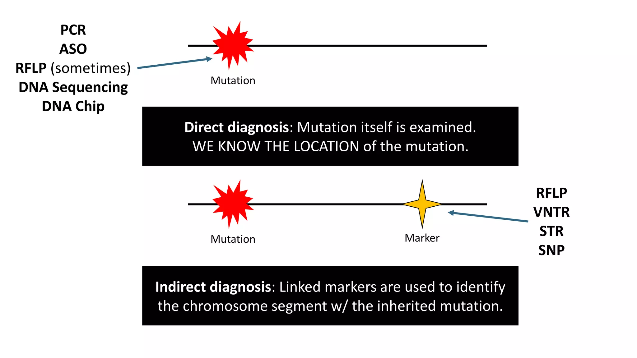 USMLE Step 1 Genetics review | PPTX