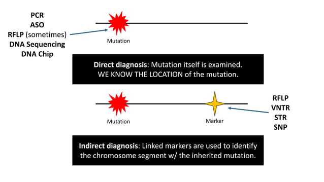 USMLE Step 1 Genetics review | PPTX