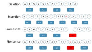USMLE Step 1 Genetics review | PPTX