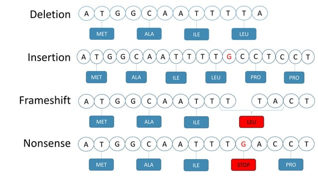 USMLE Step 1 Genetics review | PPTX