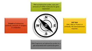 USMLE Step 1 Genetics review | PPTX