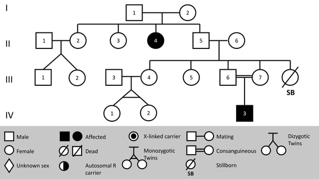 USMLE Step 1 Genetics review | PPTX