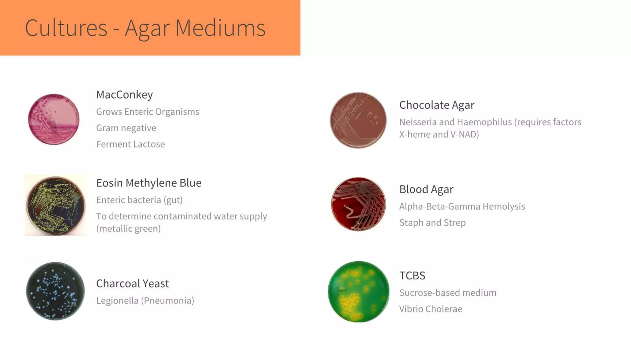 USMLE Step 1 Microbiology review | PPT USMLE Step 1 Microbiology review | PPT