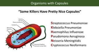 USMLE Step 1 Microbiology review | PPTX