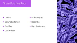 USMLE Step 1 Microbiology review | PPTX