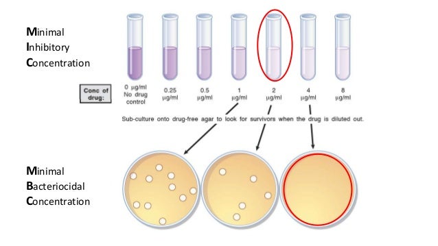 USMLE Step 1 Microbiology review