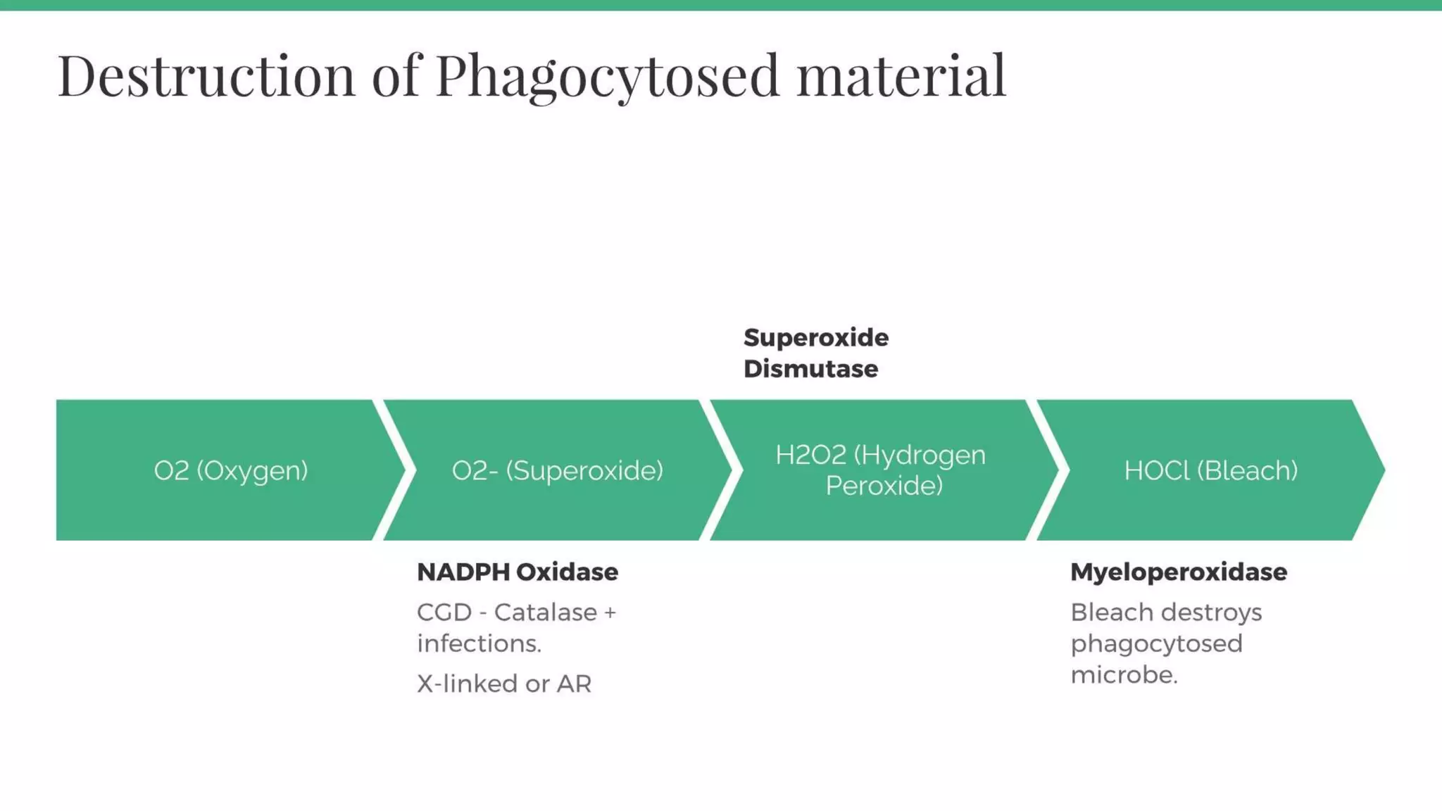 USMLE Step 1 Pathology review PART 1 | PPTX