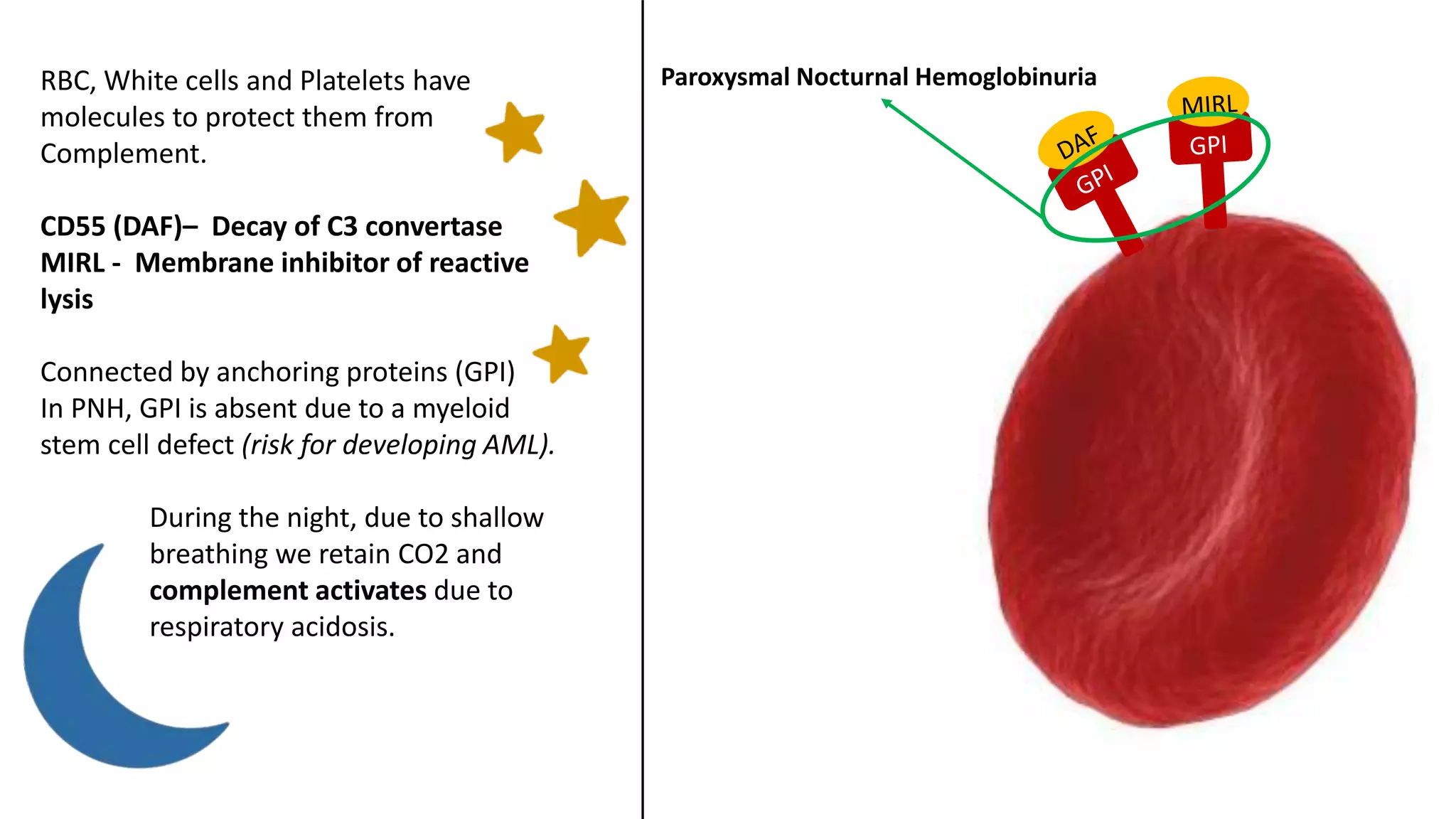 USMLE Step 1 Pathology review PART 1 | PPTX