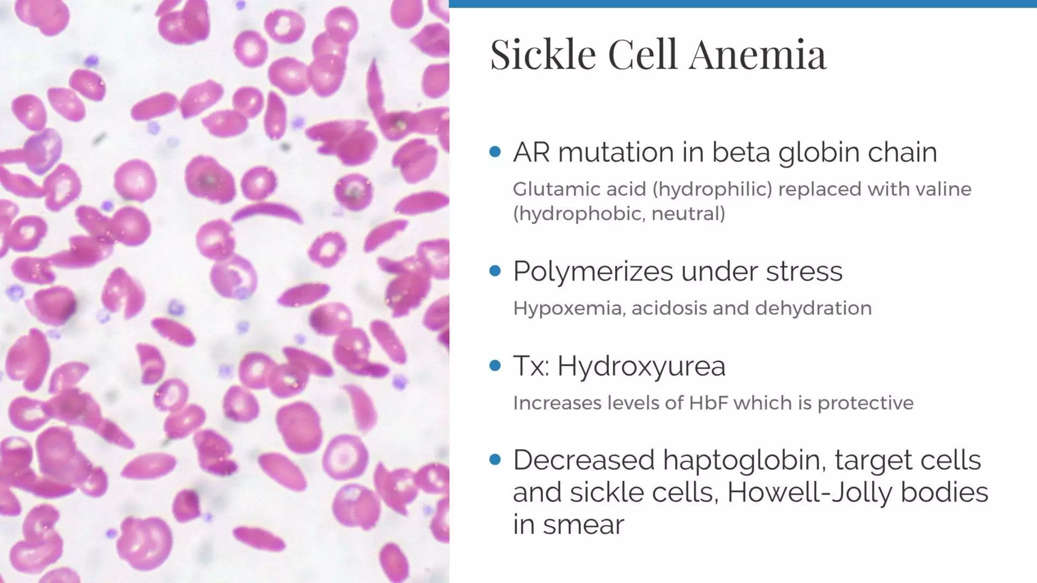 USMLE Step 1 Pathology review PART 1 | PPTX