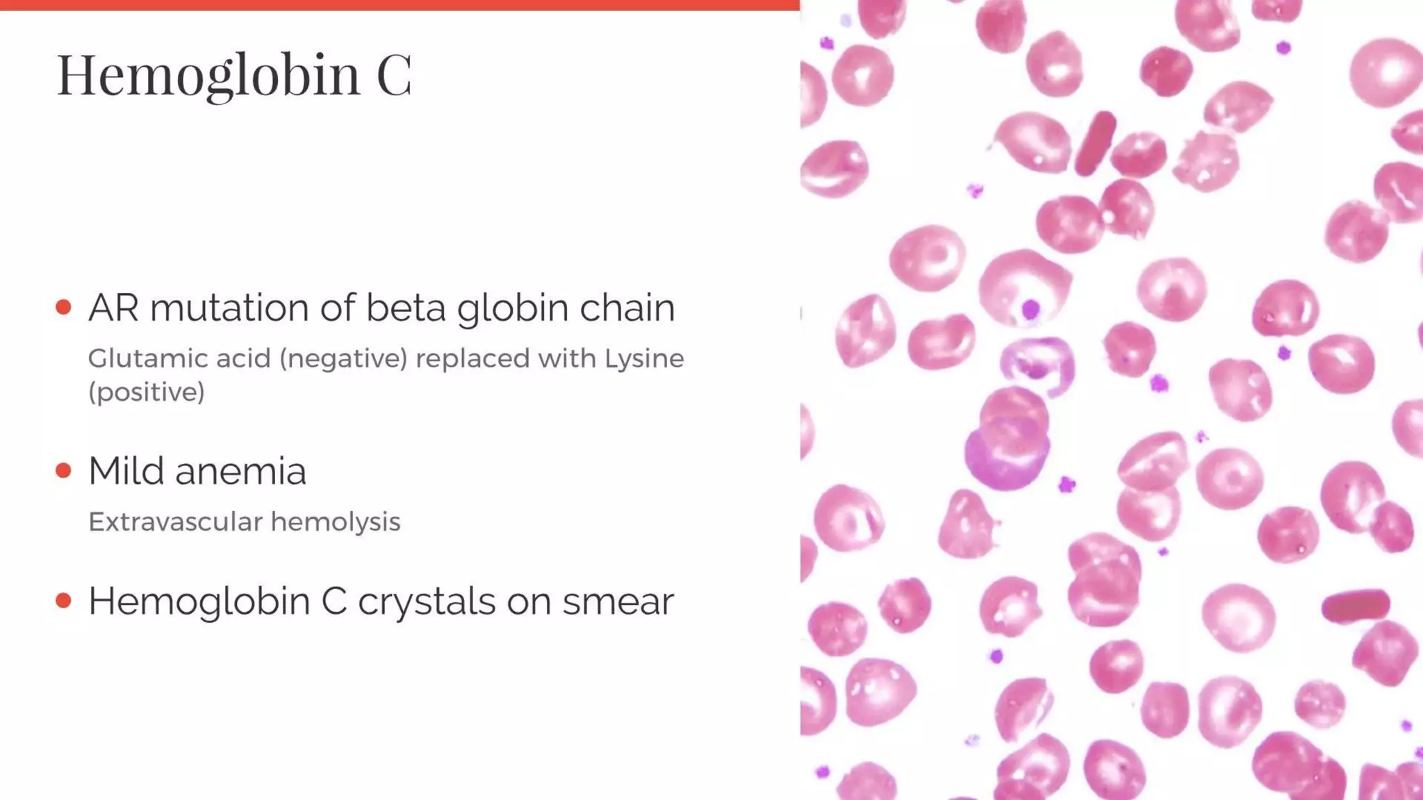 USMLE Step 1 Pathology review PART 1 | PPTX