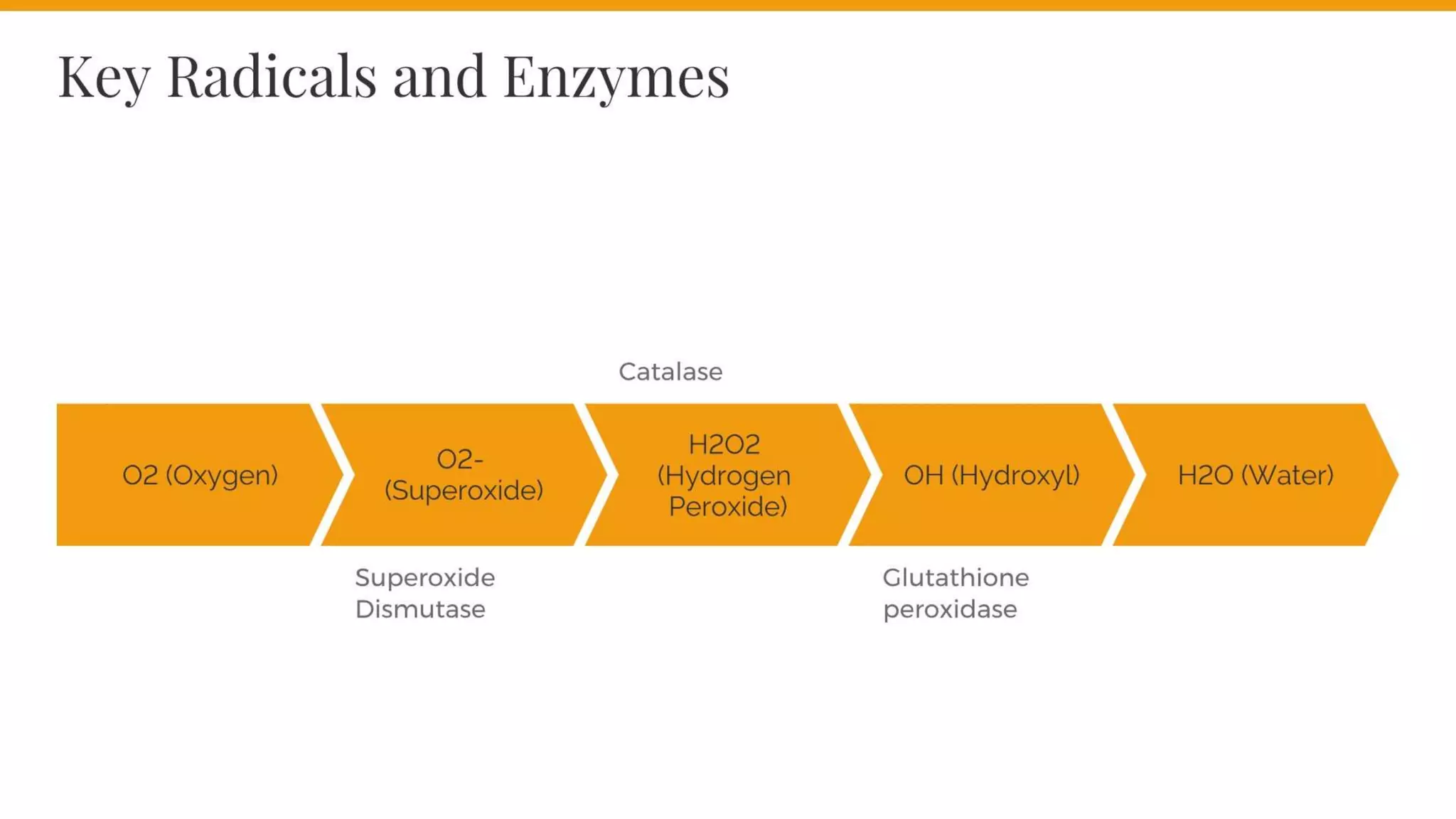 USMLE Step 1 Pathology review PART 1 | PPTX