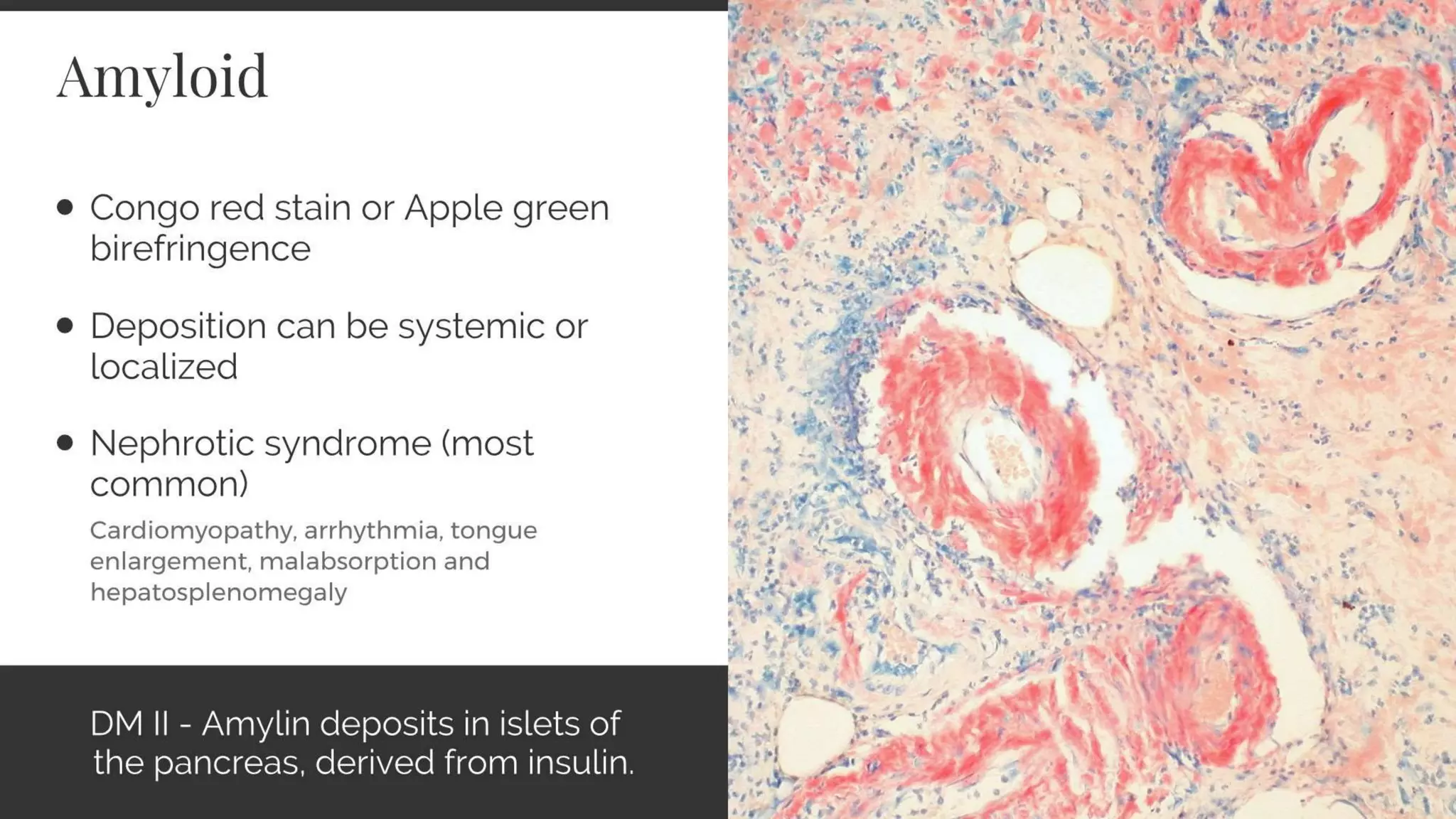 USMLE Step 1 Pathology review PART 1 | PPTX