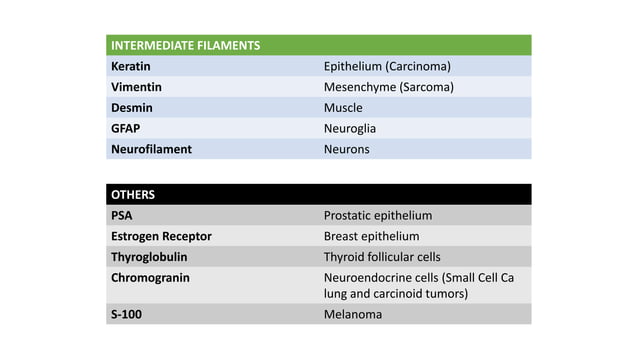USMLE Step 1 Pathology review PART 1 | PPTX | Lung and Respiratory ...