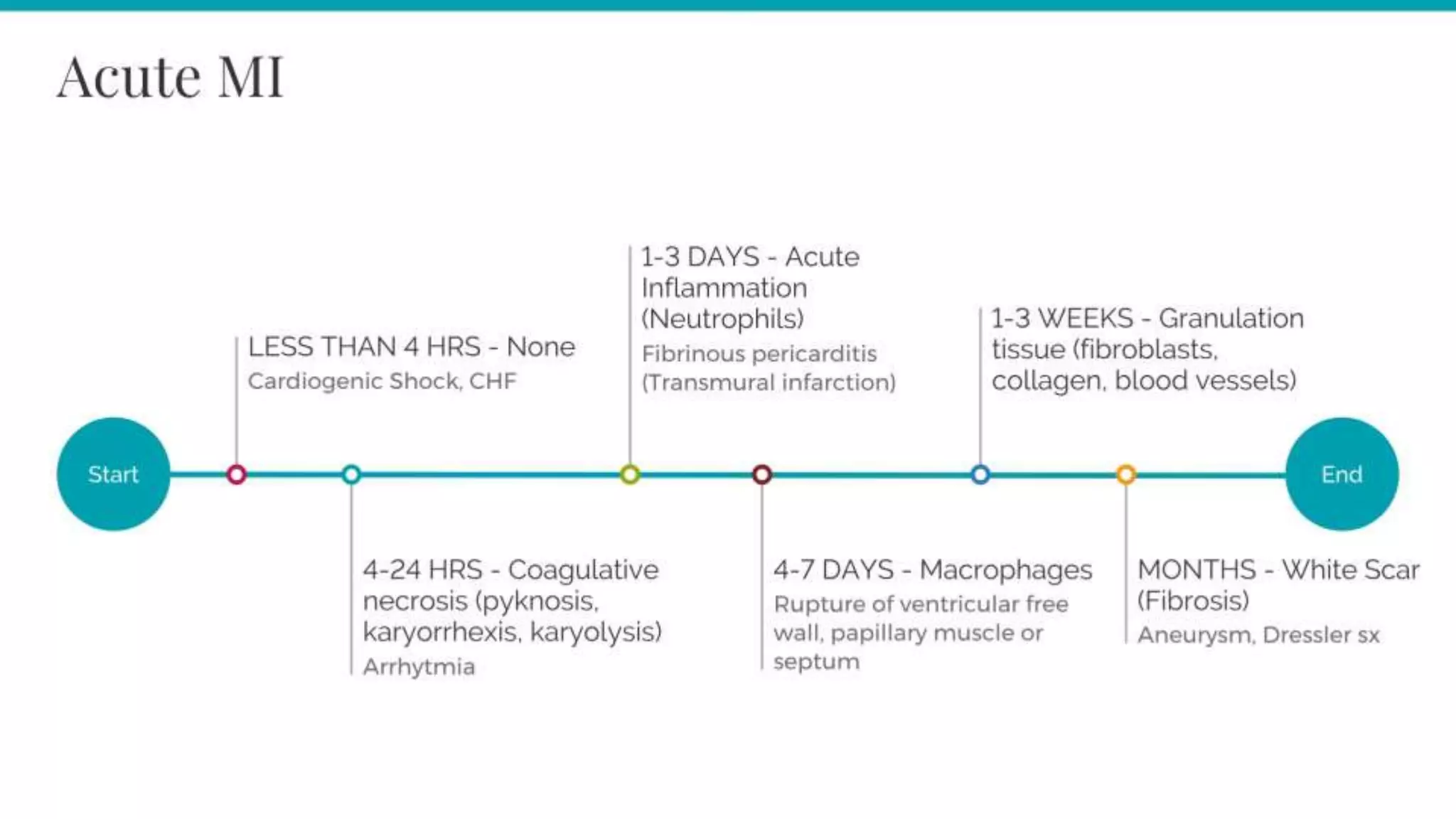 USMLE Step 1 Pathology review PART 2 | PPTX