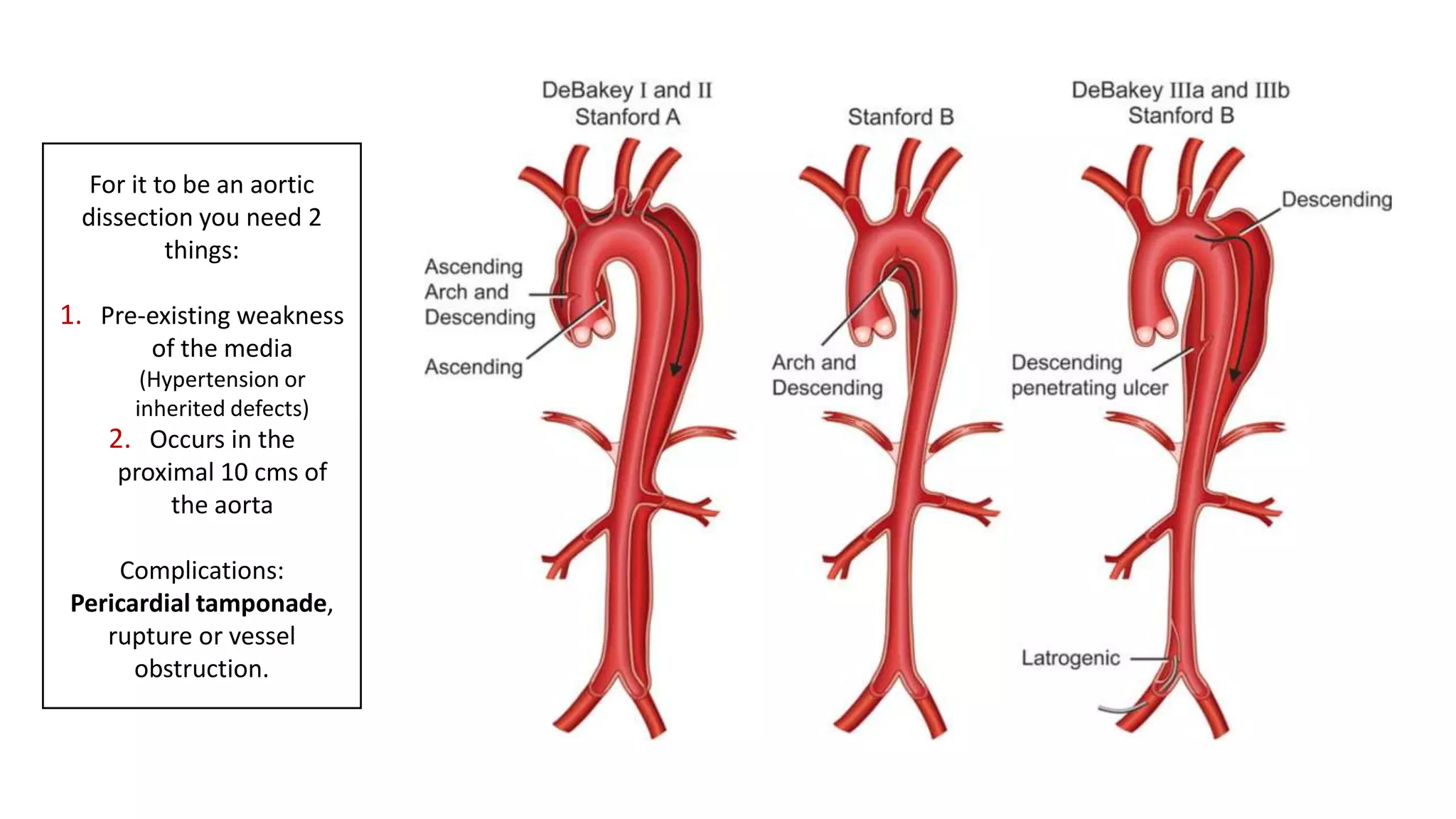 USMLE Step 1 Pathology review PART 2 | PPTX