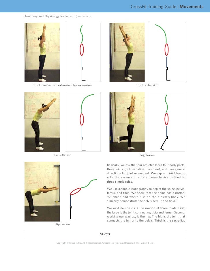 CrossFit Level 1 Guide