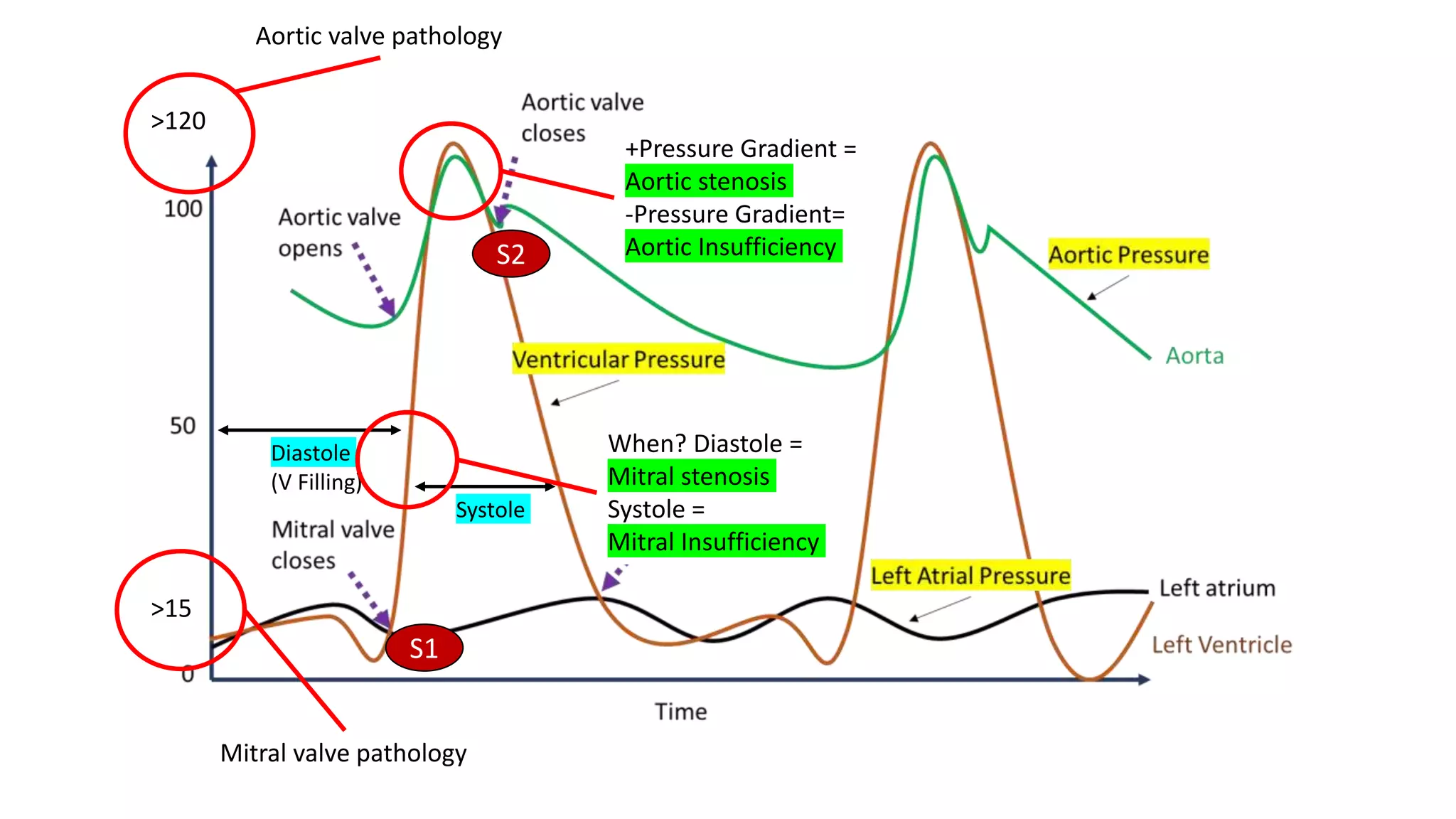 USMLE Step 1 Physiology | PPTX